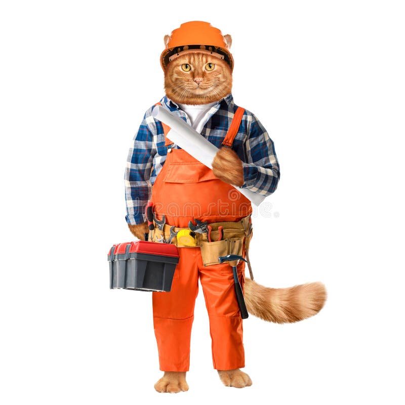 Ginger Cat Builder.Isolated on White Stock Image - Image of creative, ginger: 238140909