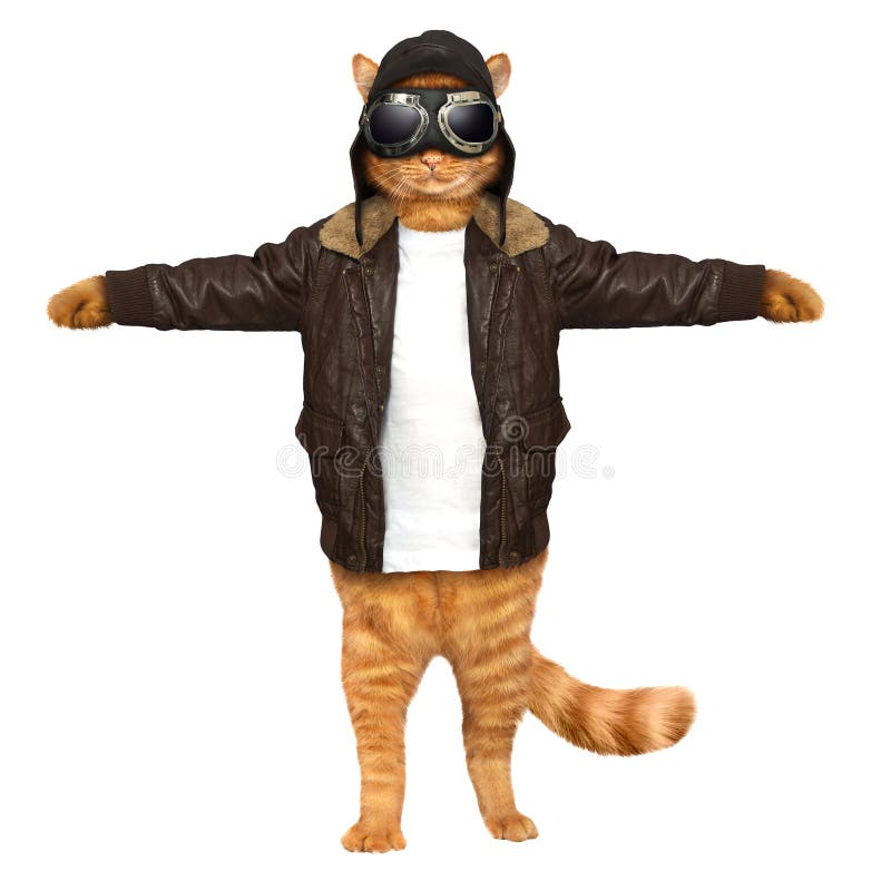 Ginger Cat Pilot Aviator .Isolated on White Stock Photo - Image of look ...