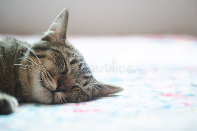 1,644 Supine Stock Photos - Free & Royalty-Free Stock Photos from ...