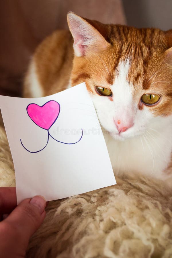 Ginger Cat with a Smile Sticker Stock Photo - Image of furry, emoticon ...