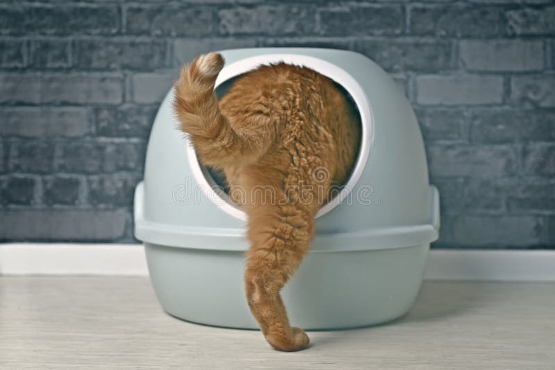 230 Urine Filling Cone Stock Photos - Free & Royalty-Free Stock Photos ...