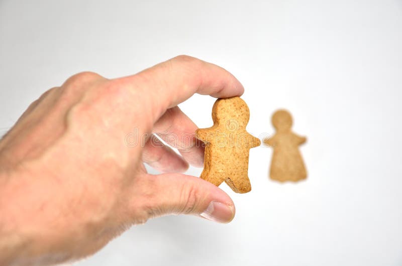 Ginger Cookie. stock image. Image of sweet, isolated - 23172317