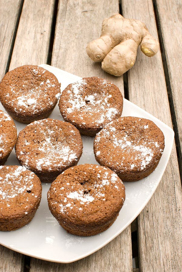 Ginger cookies stock image. Image of bread, dessert, christmas - 25922867