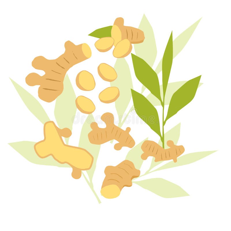 Ginger Elements Abstract Vector Design Background Stock Vector ...