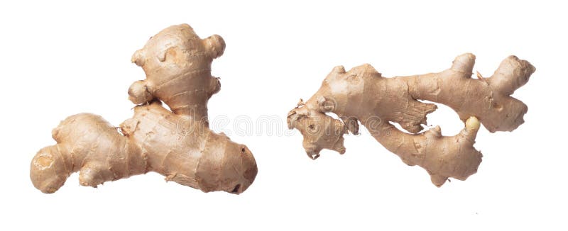 Ginger Fall Fly in Turner, Fresh Vegetable Spice Ginger Falling ...