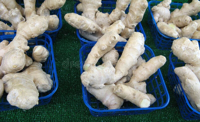 Ginger at farmers market stock image. Image of healthy - 7080001