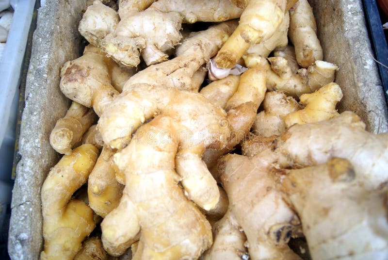 Ginger stock image. Image of food, products, objects - 36835049