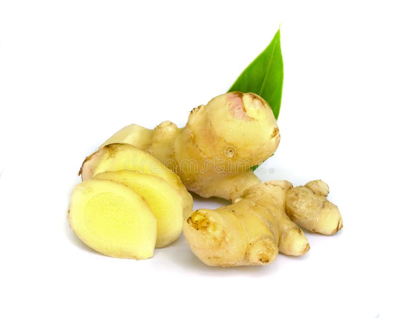 Tender ginger stock image. Image of fresh, gingers, vegetarian - 21169499