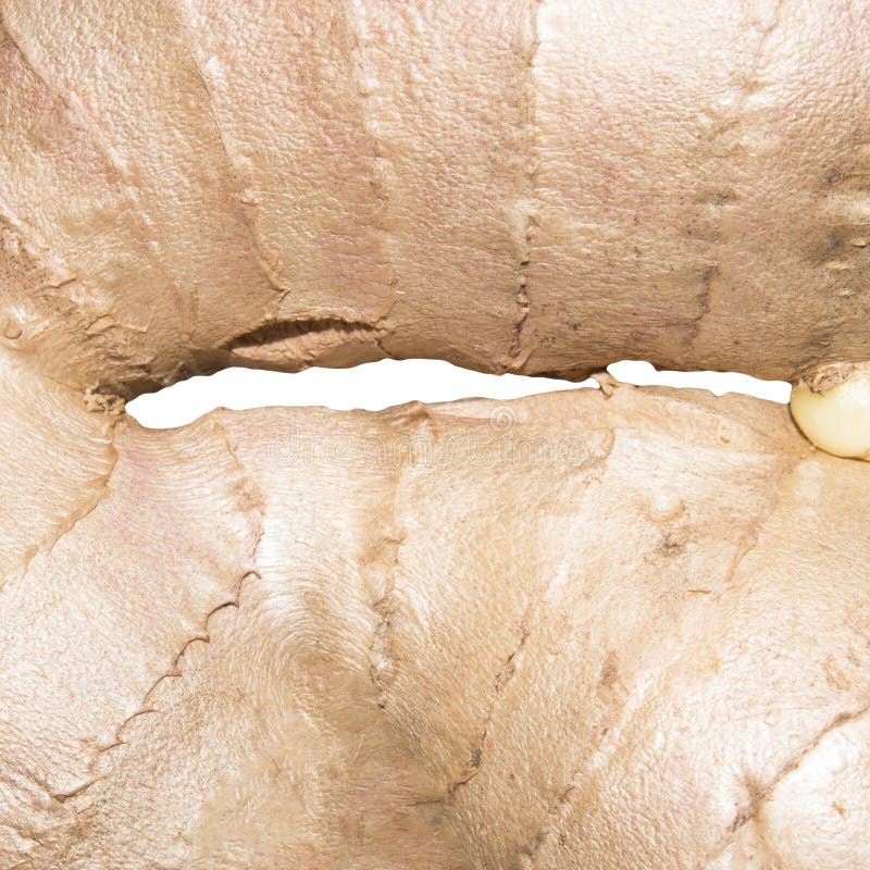 Ginger.Ginger root stock image. Image of flavor, gingerginger - 178222427