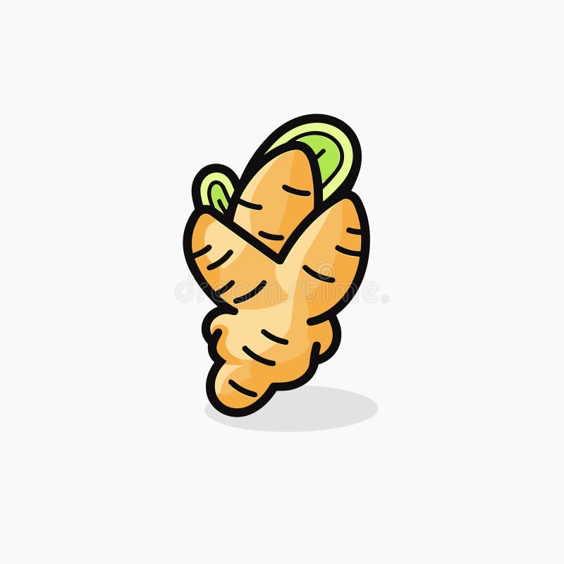 Ginger Hand-drawn Illustration. Ginger. Vector Doodle Style Cartoon ...