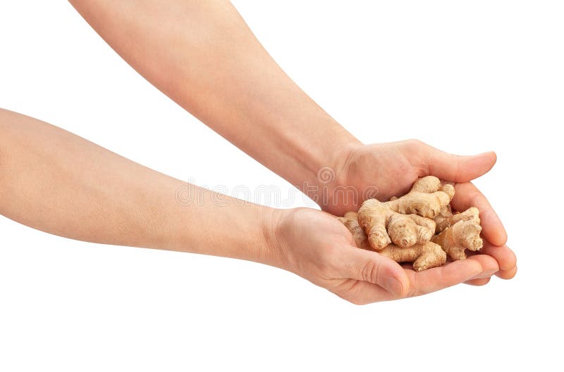 Ginger in Hand Path Isolated Stock Image - Image of holding, white ...