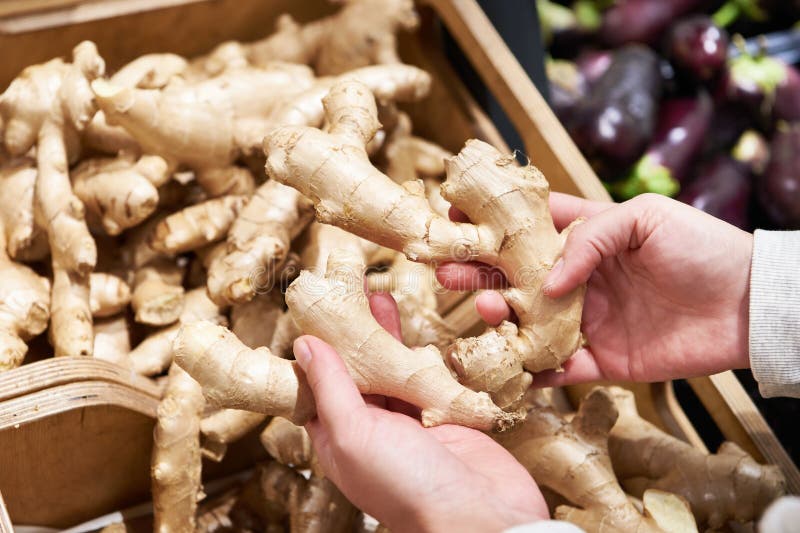 Ginger in Hands of in Store Stock Image - Image of supermarket, organic ...
