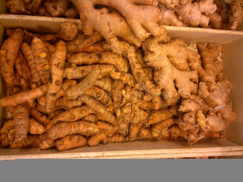 Ginger stock image. Image of plant, nutrition, aroma - 80676845