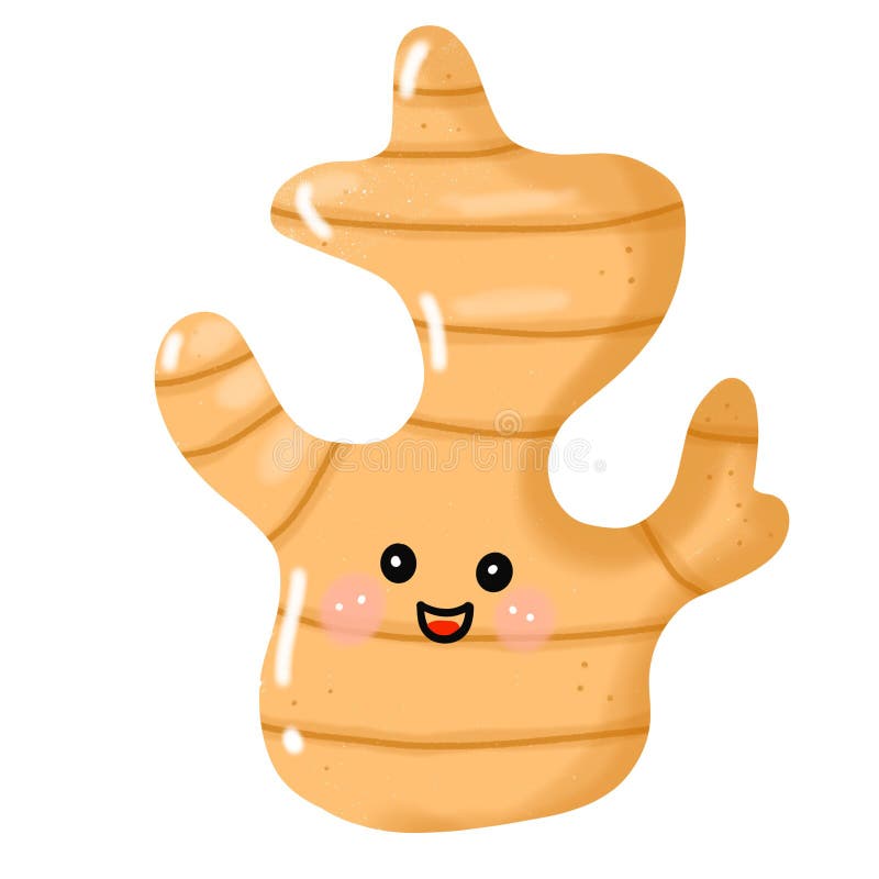 Ginger Herb and Spice Icon stock illustration. Illustration of cooking ...