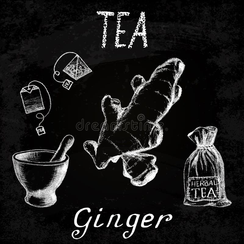 Ginger Herbal Tea. Chalk Board Set of Elements Stock Illustration ...