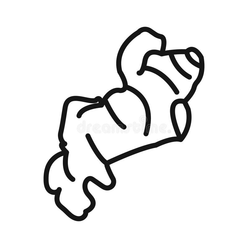 Ginger Icon Stock Illustrations – 22,899 Ginger Icon Stock ...