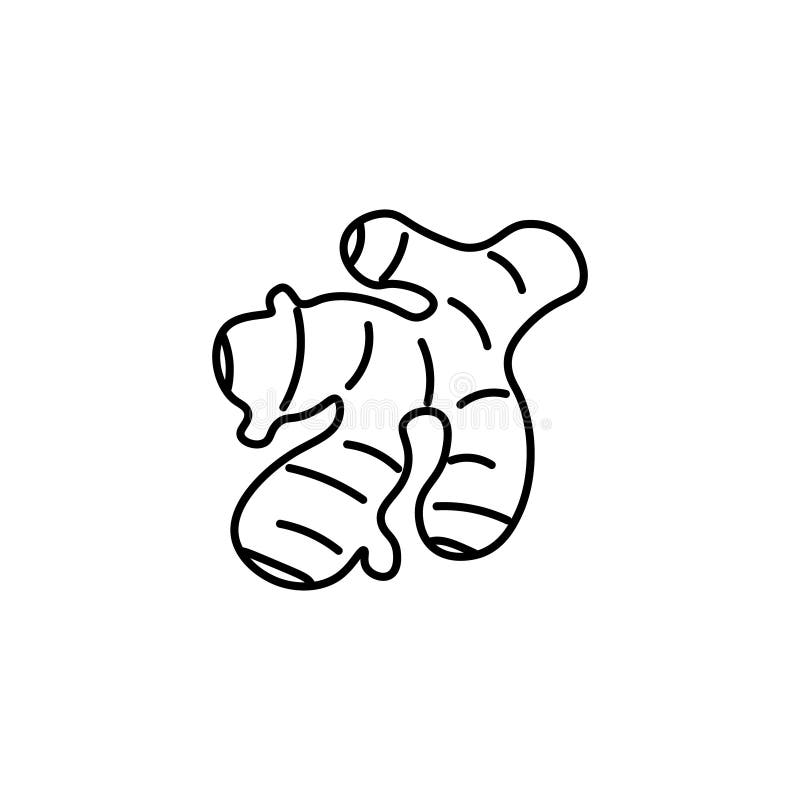 The Ginger Icon in Black and White Stock Vector - Illustration of ...