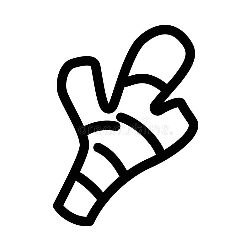 Ginger Icon Design in Filled and Outlined Style Stock Vector - Illustration of design ...