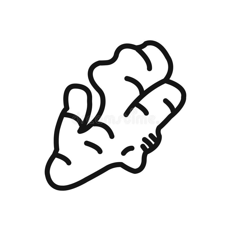 Ginger Icon Linear Vector Graphics Sign Stock Illustration ...