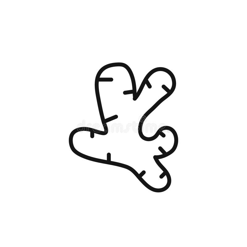 Ginger Icon Outline Collection In Black Stock Vector Illustration Of