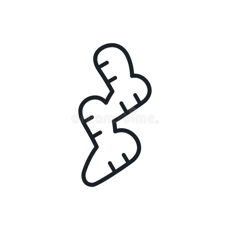 Ginger Linear Stock Illustrations – 1,043 Ginger Linear Stock ...