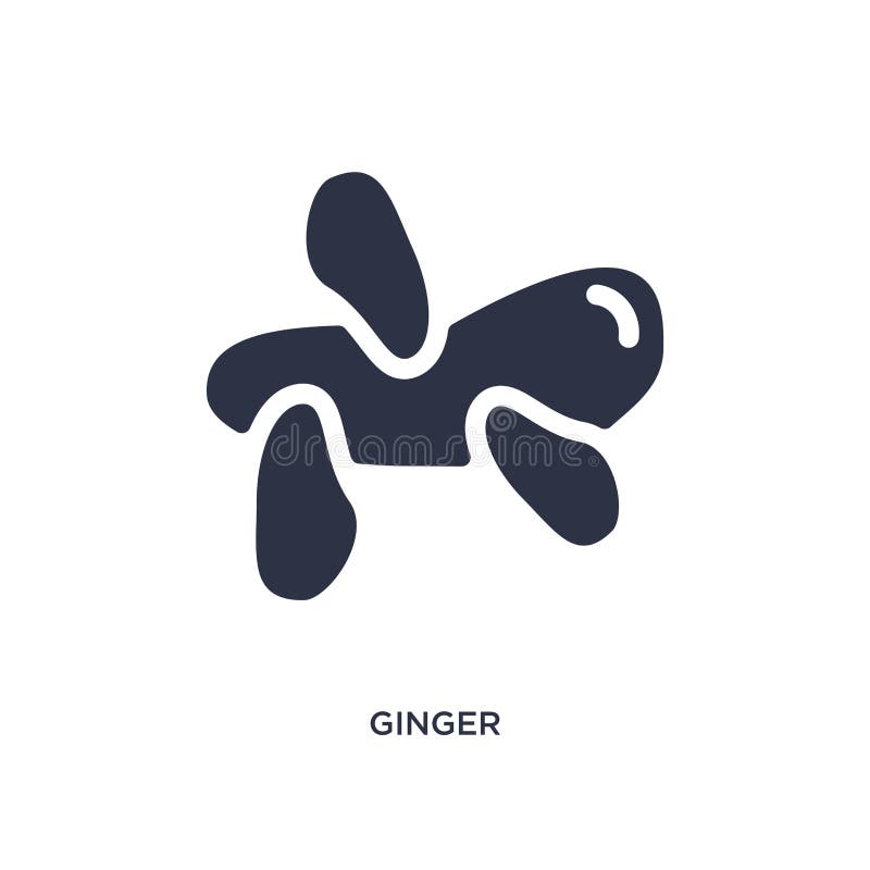 Ginger Icon in Different Style Vector Illustration. Two Colored and ...