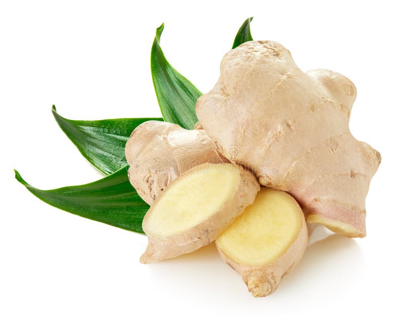 Ginger Isolated En Un Blanco Foto de archivo - Imagen de aislado, verde ...