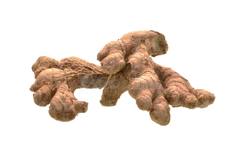 Ginger Isolated on White Background Stock Photo - Image of lemon ...