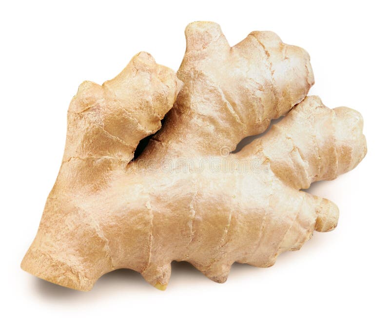 Ginger Isolated on a white stock photo. Image of spice - 112697066