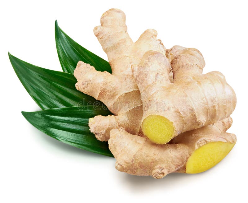 Ginger Isolated on a white stock photo. Image of plant - 111573038