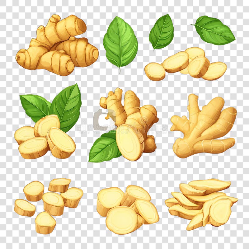 Ginger with Leaves and Sliced Ginger Set Stock Photo - Illustration of ...
