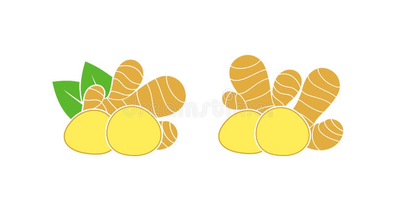 Ginger Logo. Isolated Ginger on White Background Stock Vector ...