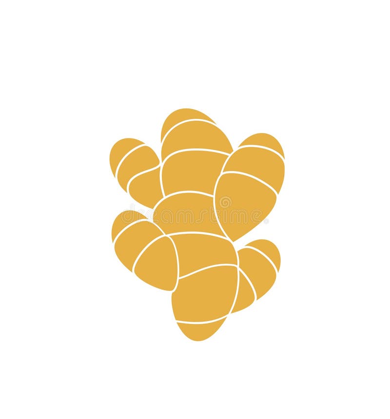 Ginger Logo. Isolated Ginger on White Background Stock Vector ...