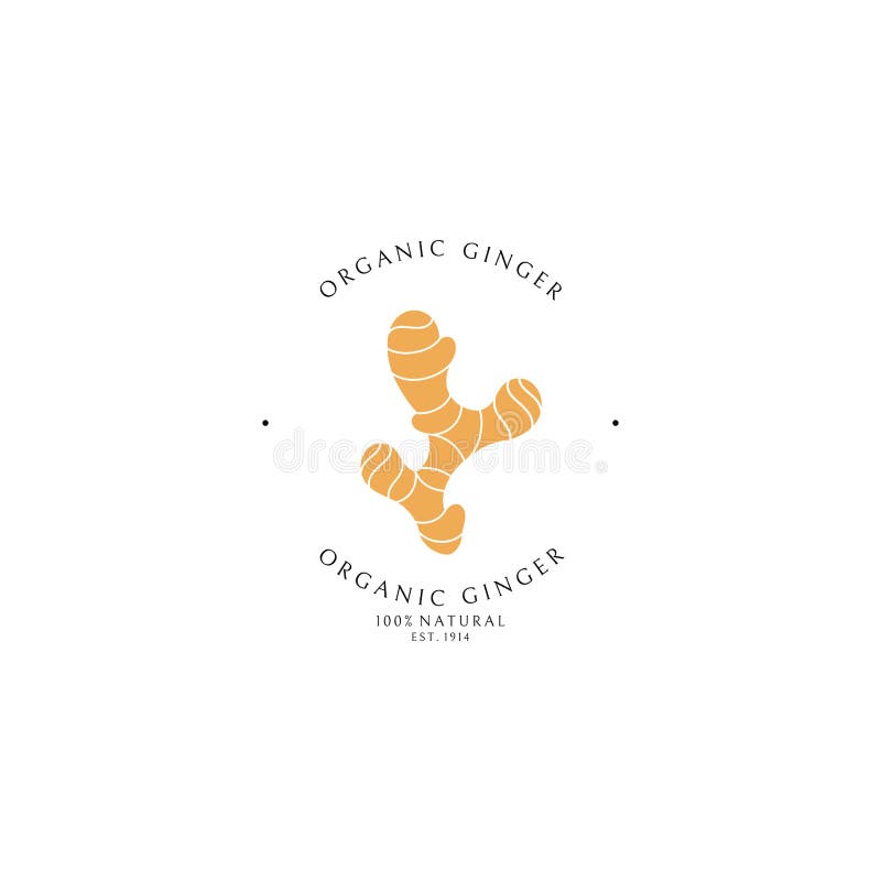 Ginger Cat Logo Design Concept. Simple Feline Symbol in Cartoon Style ...
