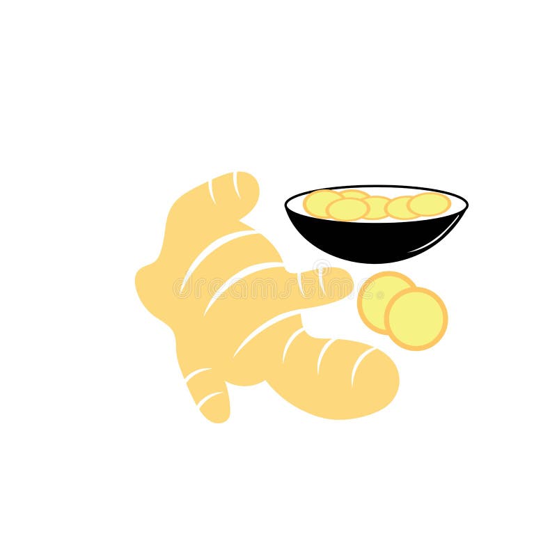 Ginger logo vector design stock vector. Illustration of plant - 174809106