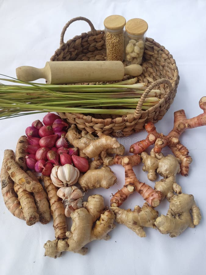 Ginger and many more stock photo. Image of snack, lunch - 261973714