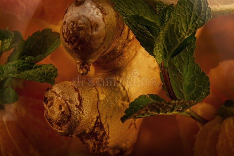 Ginger and Mint Perfectly Complement the Taste of Tea or Drink. Stock ...