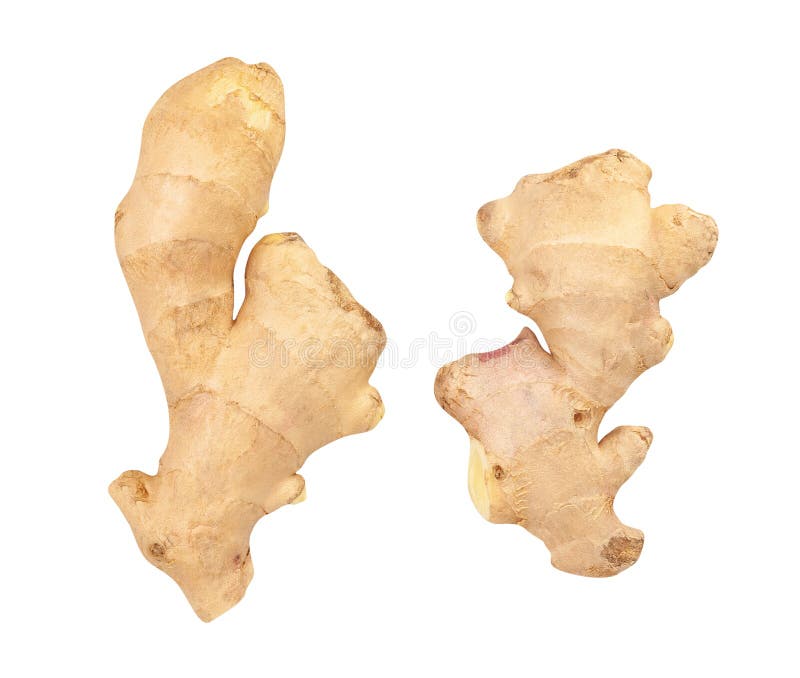 Ginger path isolated stock photo. Image of ginger, background - 273374958