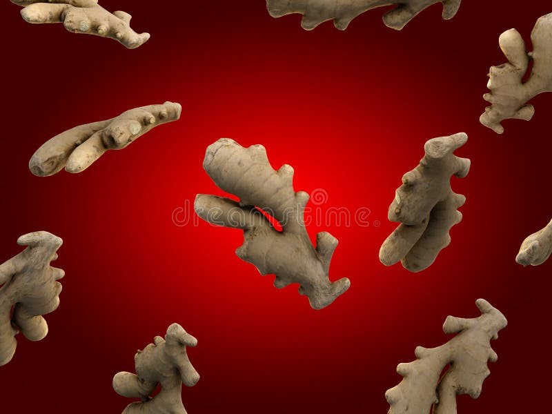 Ginger on red background stock illustration. Illustration of fruit ...
