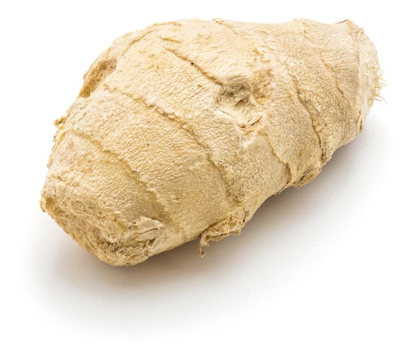 Ginger root stock image. Image of macro, officinale - 102815567