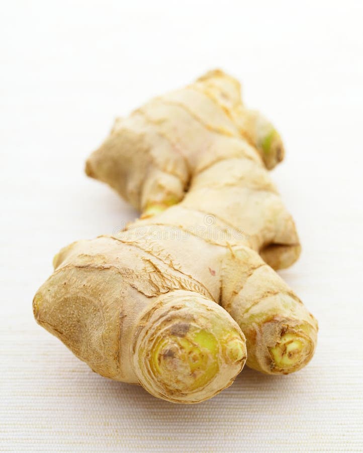 Ginger root stock image. Image of closeup, close, ginger - 24373671