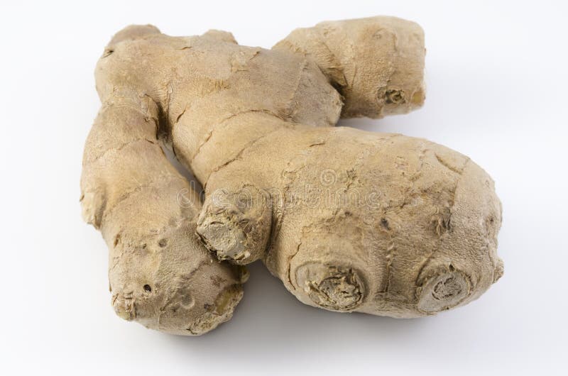 Finger (Cekor) Root Macro Isolated Stock Photo - Image of cekor ...