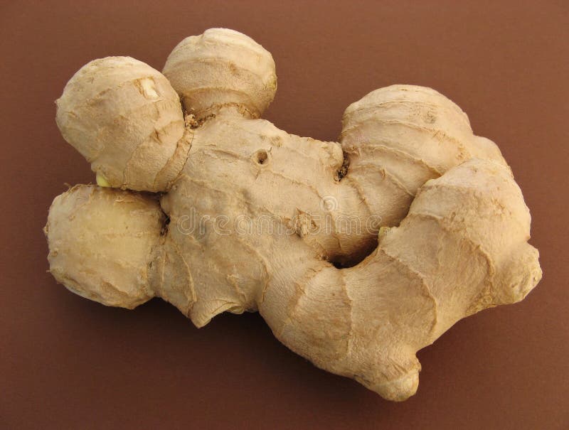 Ginger root stock photo. Image of zingiber, ripe, healthy - 5507324