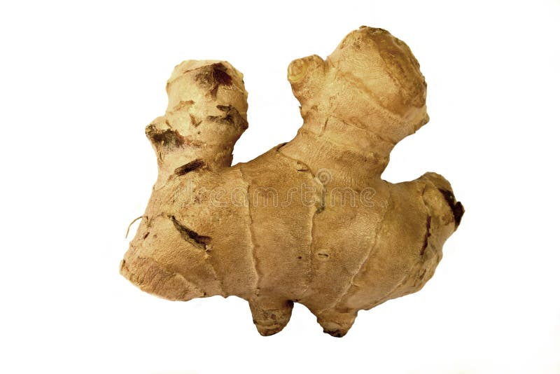 Ginger root stock photo. Image of ingredient, chinese - 6062988