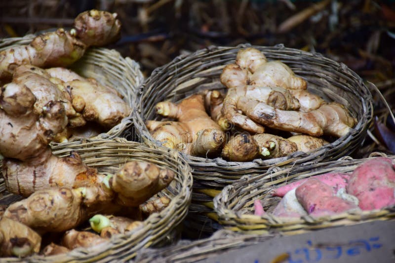 Ginger Root , Asian Food and Popular Asian Spice. Stock Photo - Image ...