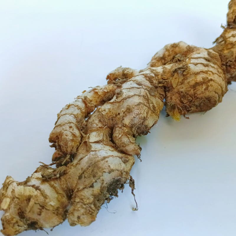 Ginger Root Close-up on White Background Fresh Spice Ingredient Stock ...