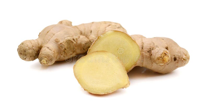 Ginger root. stock photo. Image of food, white, root - 159795600