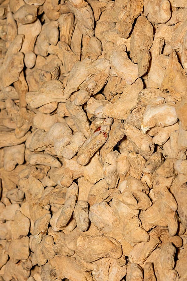 Ginger Root Curved Light Beige Vertical Photo Vegetable Background ...