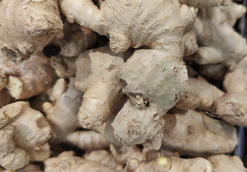 Ginger Root and Ginger Slice. Fresh Ginger Root and Ground Ginger Spice ...