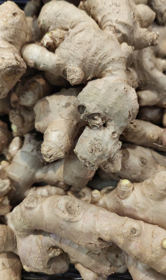 Ginger Root and Ginger Slice. Fresh Ginger Root and Ground Ginger Spice ...